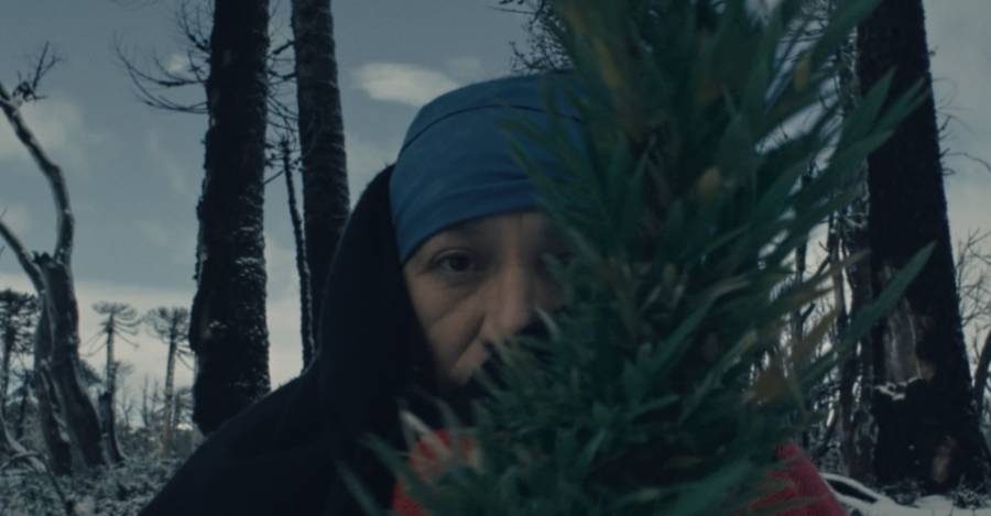 'Inmersión en la Mapu': la instalación artística que reivindica la ...