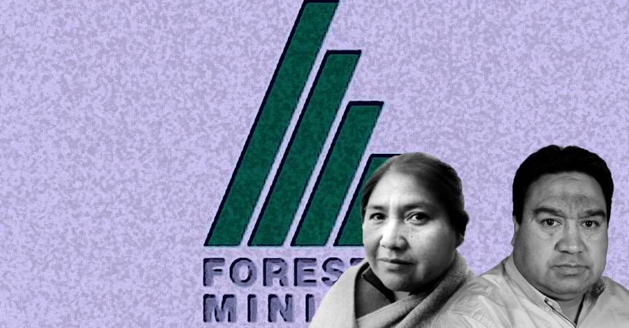 Forestal Mininco, Reinao y Huenumán, los nombres clave en el conflicto ...