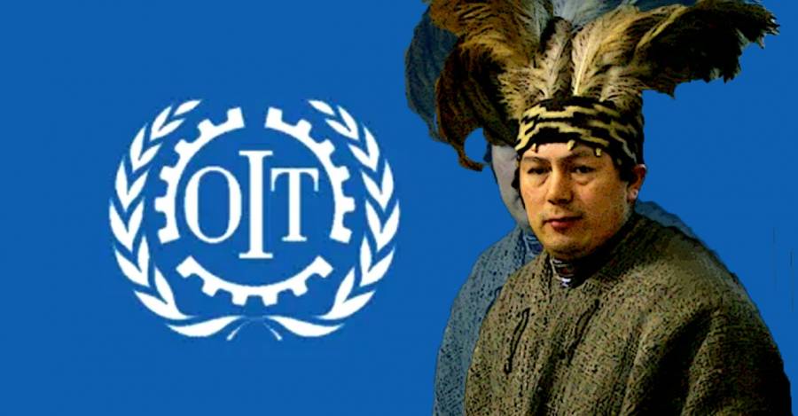 Qué es el Convenio 169 de la OIT al que apelan los mapuche y por qué ...