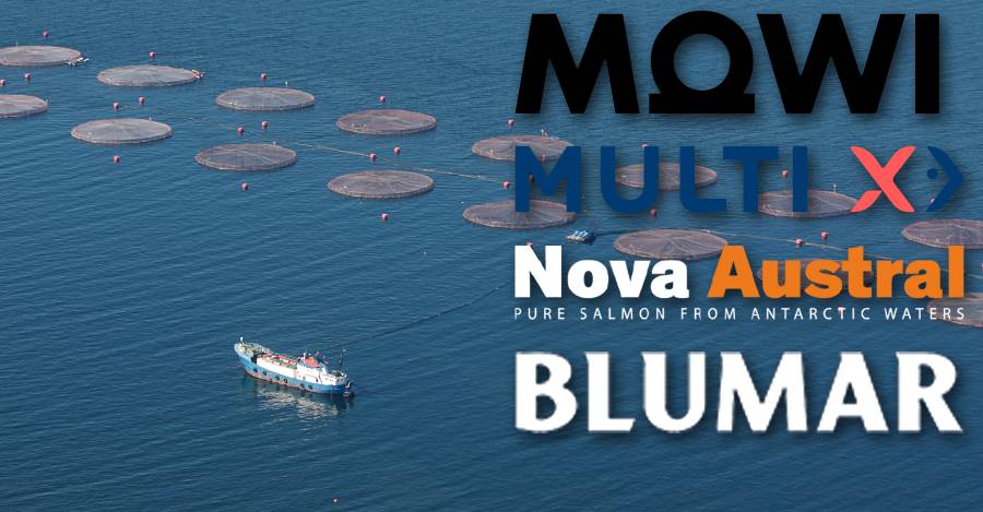 Suma y sigue: Mowi, Nova Austral, Blumar y Multiexport se unen a ...