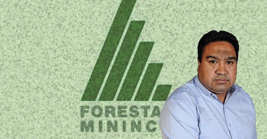 Forestal Mininco reconoce que subcontrató a empresa de Santo Reinao ...